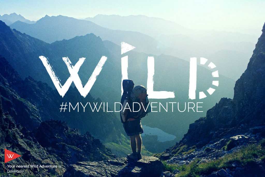 Wild | Chloe Morris – Graphic Design